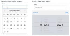 Date Select - Snapforms Resources & FAQs